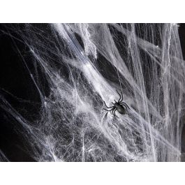 Spinnweben mit Spinne - gruselig, nicht wahr?
